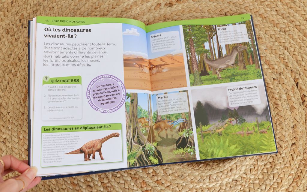 L’ENCYCLOPEDIE DES DINOSAURES (Questions réponses)