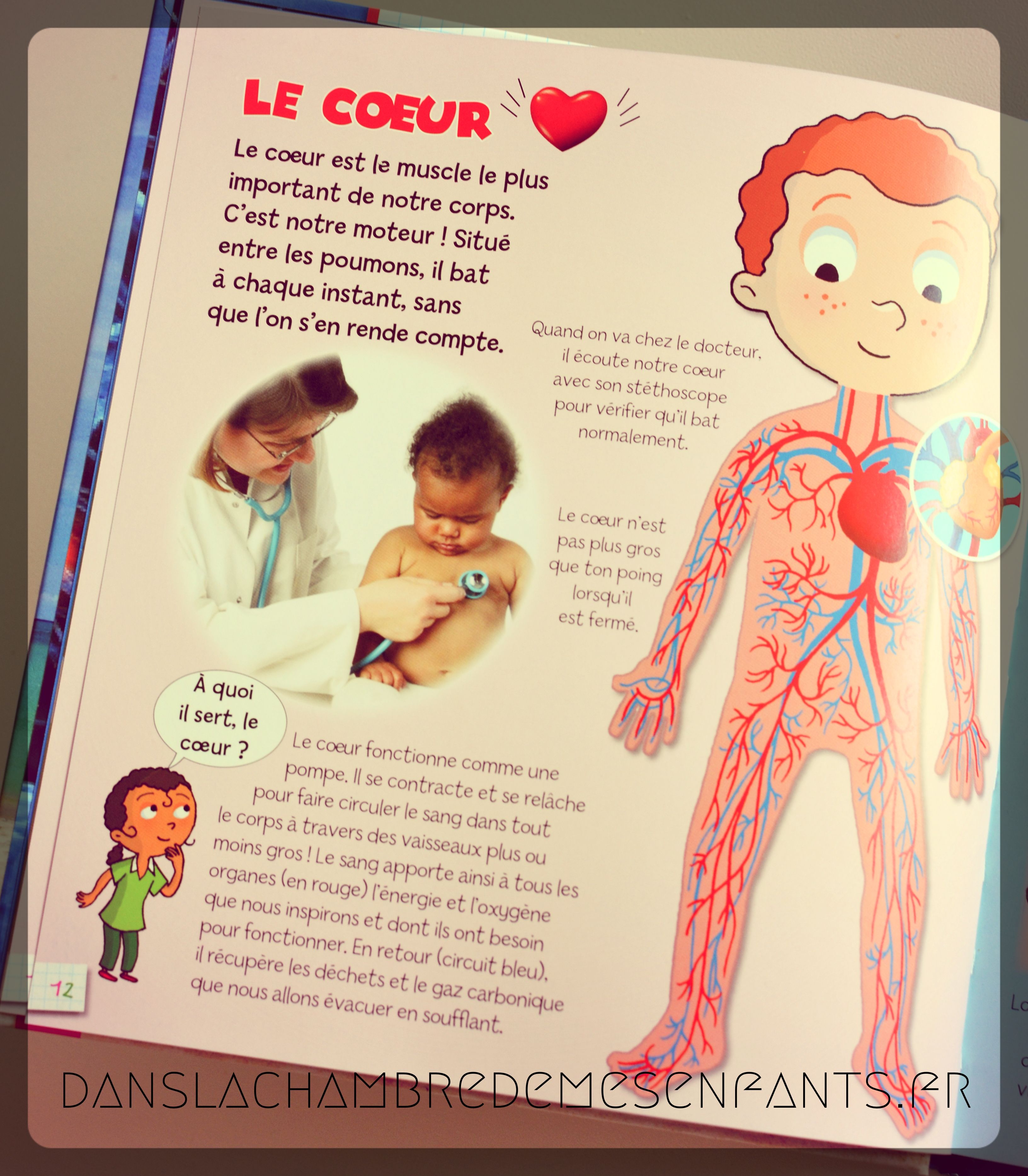 Mieux connaître son corps (dès 3 ans)